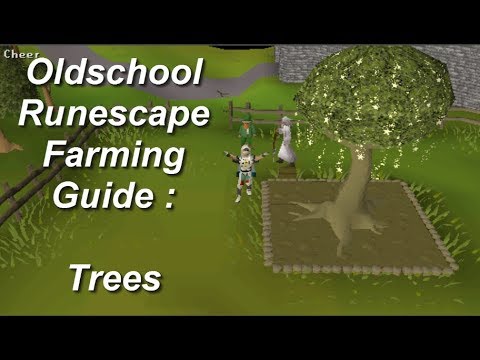 OSRS Ultimate Farming Guide -  TREES Edition