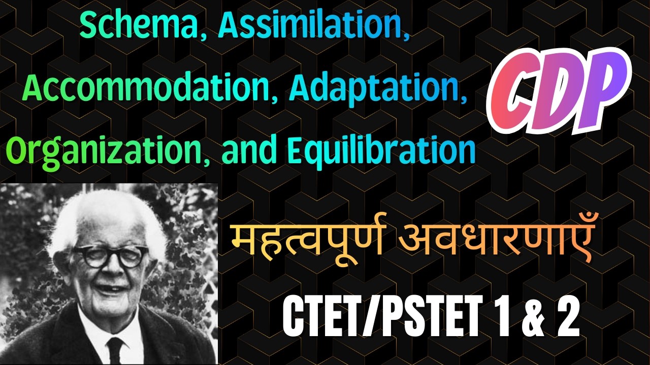 Schema, Assimilation, Accommodation, Adaptation, Organization, and ...
