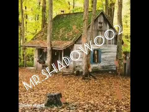 Payizi sene benzedirem...seir