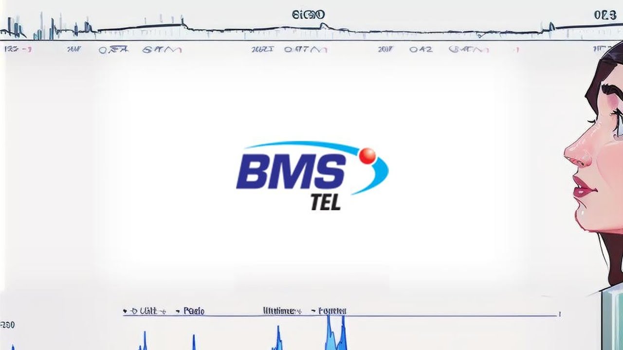 BMSTL - BMS Birleşik Metal hissesinin 2023 yılının 6. ayına ait bilanço ...