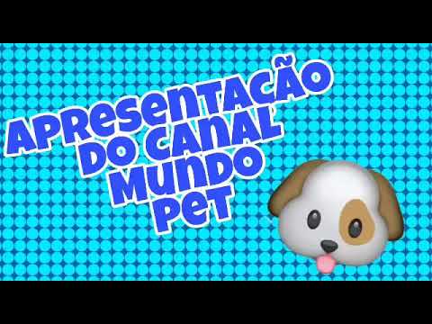 Apresentação do canal Mundo Pet! | Mundo Pet - YouTube