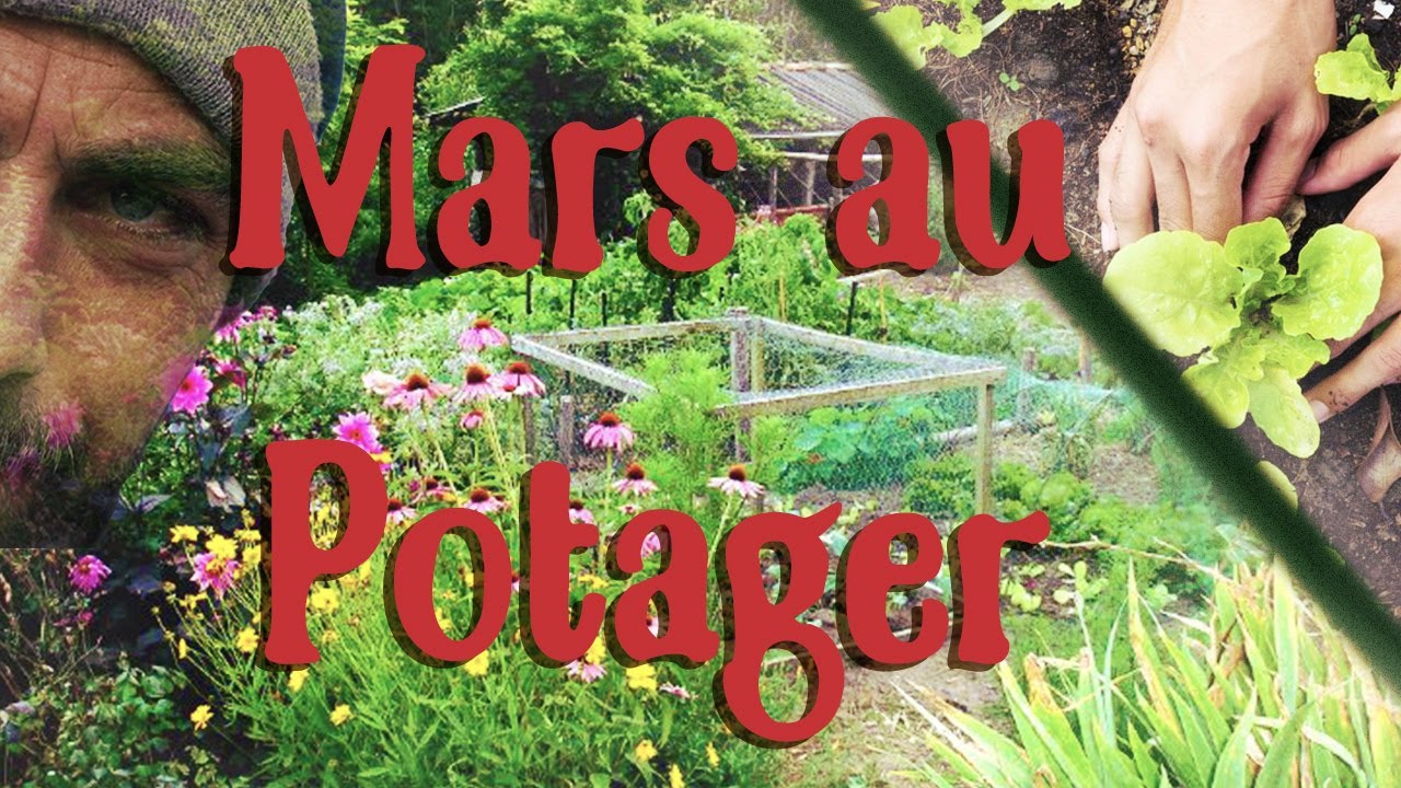 Mars dans le potager : SEMIS ET PLANTATION - YouTube