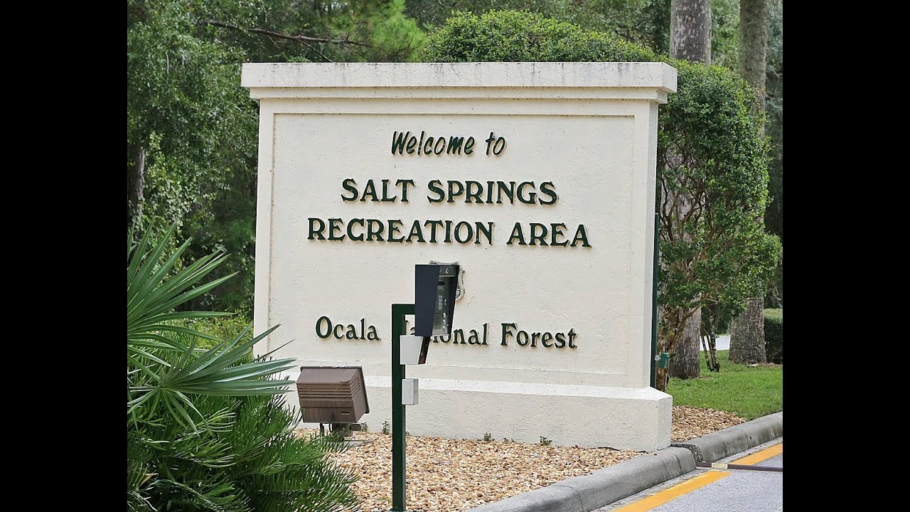 Salt Springs Recreation Area Biking Tour of the Campground and Springs ...
