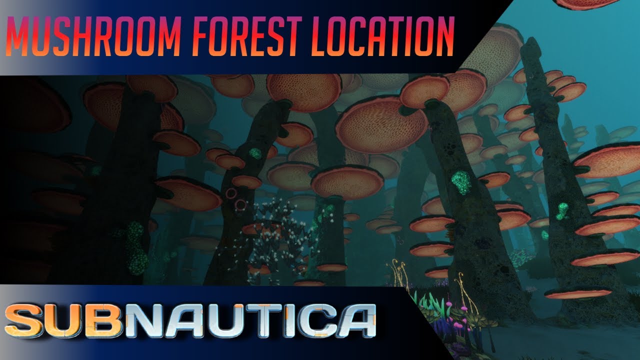 How to get to the Mushroom Forest in Subnautica (UPDATED) - YouTube