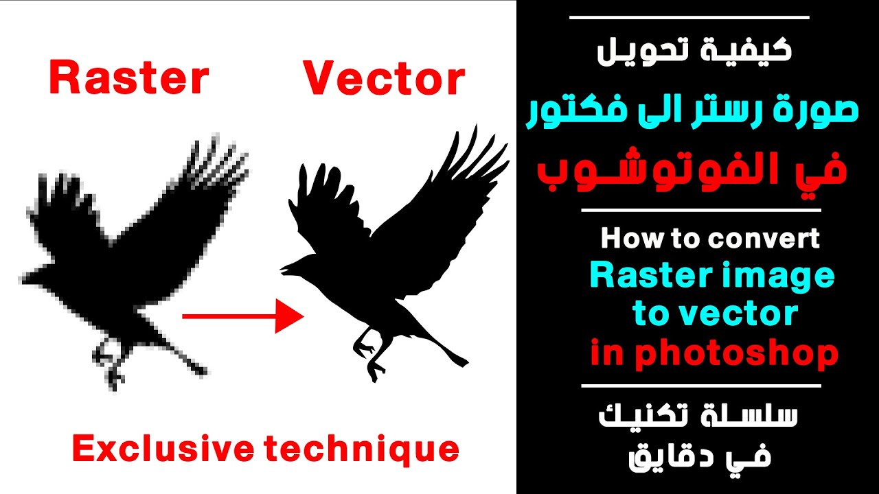 كيفية تحويل صورة ريستر الي فكتور في الفوتوشوب How to convert ...