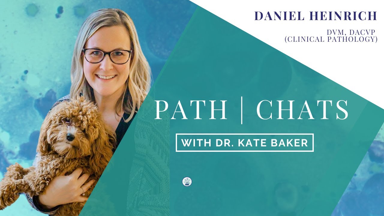 Path Chats with Danny Heinrich - YouTube