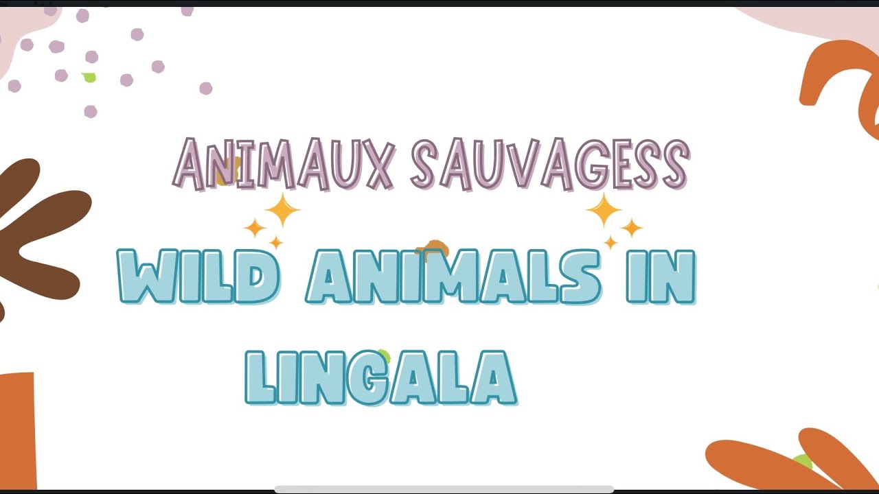 Wild animals in Lingala - Animaux sauvages en Lingala - YouTube