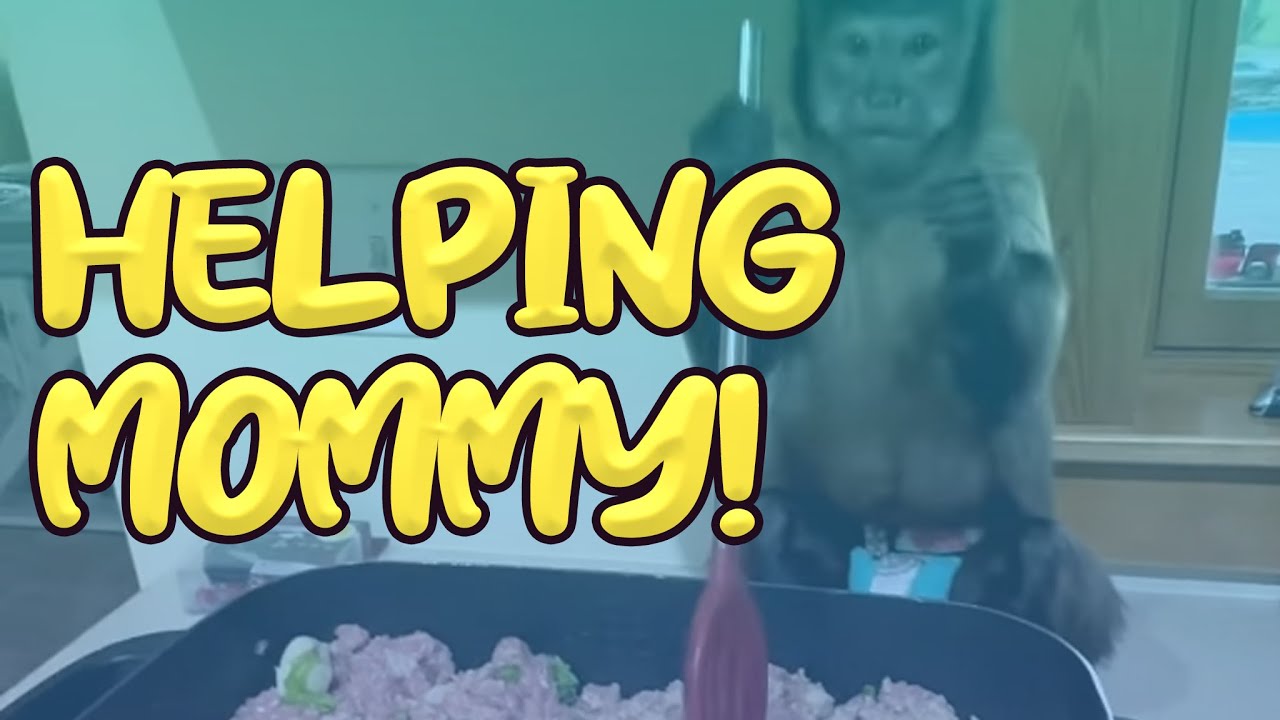 Famous Gaitlyn Rae Does House Chores - YouTube