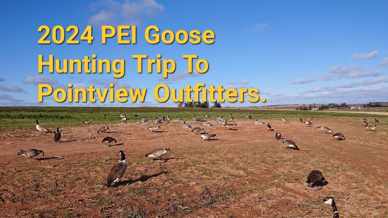 Pointview Outfitters PEI Goose Hunting Trip 2024 - YouTube