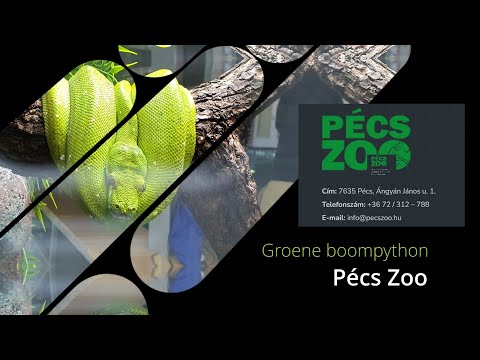 Impression Video Pécs Zoo - YouTube