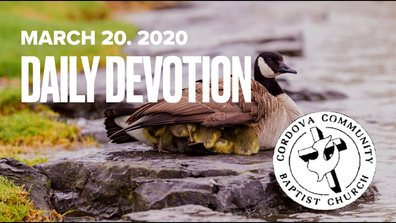Daily Devotion March 20, 2020 - YouTube