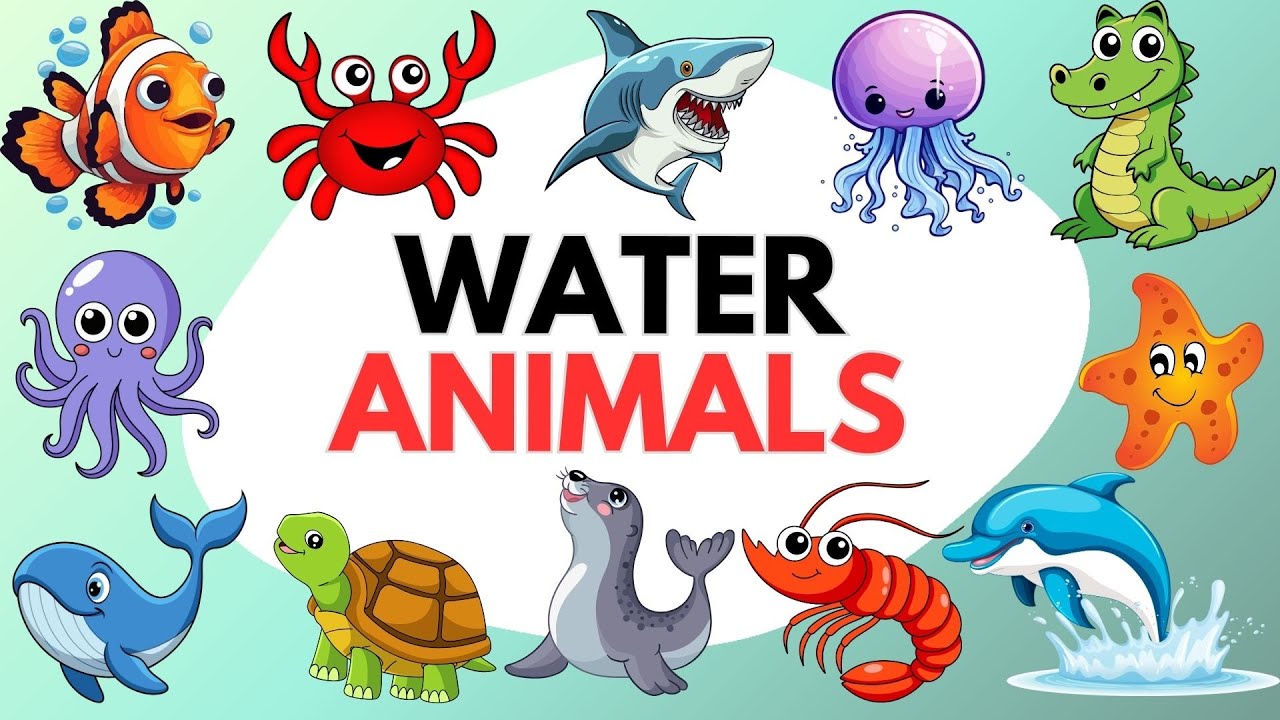 Water Animals Names with Videos | Learn Water Animals for Kids & Adults ...