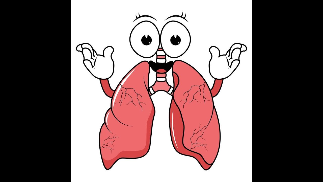 Basic Physiology of lungs mechanics - YouTube