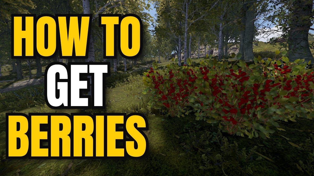 How To Get Berries In Rust | Best Locations To Find All Berry Types ...