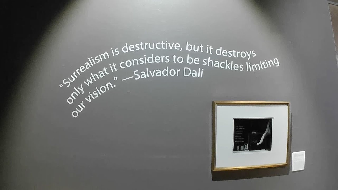 The Dali Exhibit and Citizen Soldiers Exhibit at Piedmont Arts - YouTube