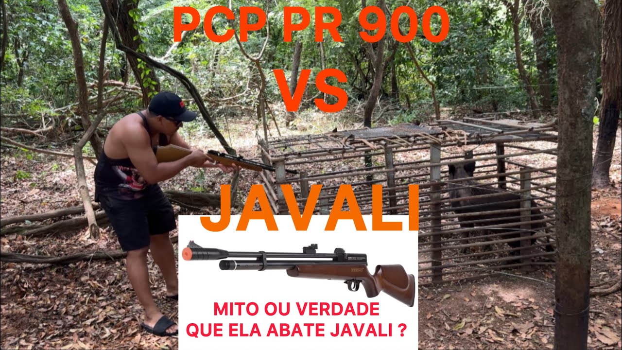 Pcp mais fraca do Brasil mito ou verdade ? Abate javali ou não ? Veja no vídeo - YouTube