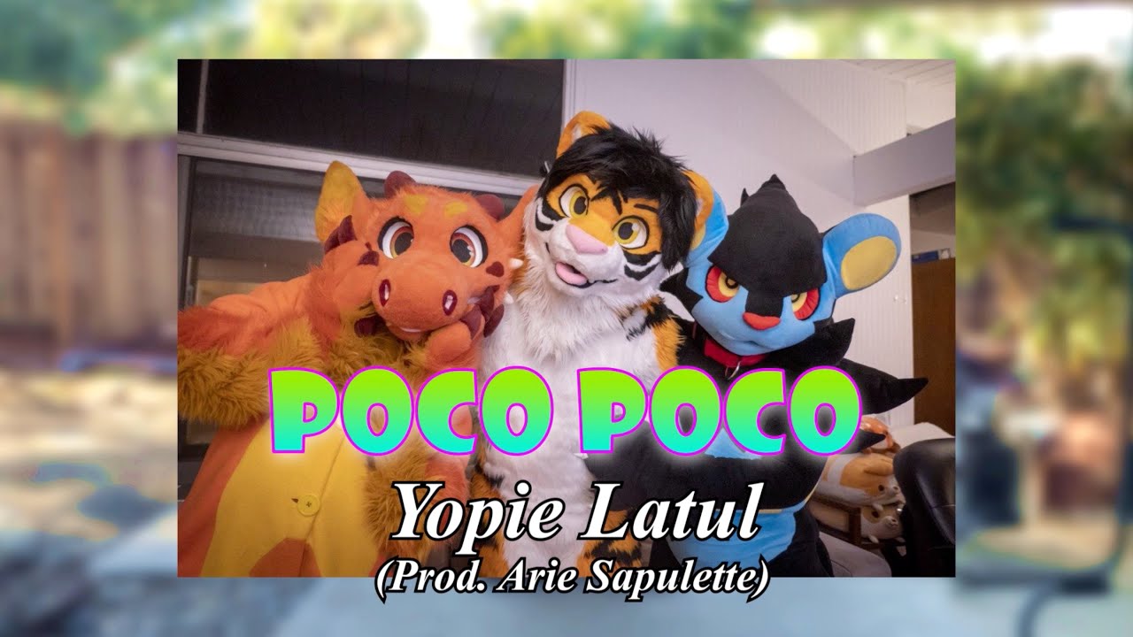 Poco Poco | Furry Morning Exercise - YouTube