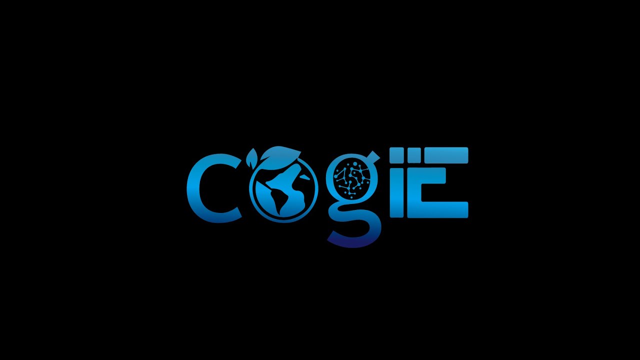 CogIE ACL Demo - YouTube