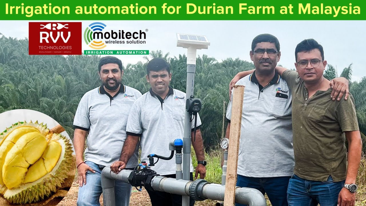 Irrigation automation for #durian farm at #malaysia by #mobitech - YouTube