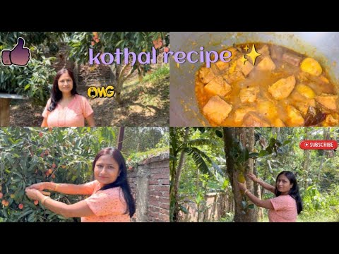 JACKFRUIT RECIPE | Kothal orr recipe | delicious recipe | #assamese # ...