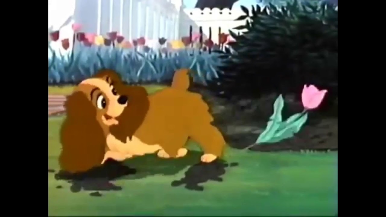 It’s You // Lady X Tramp. - YouTube