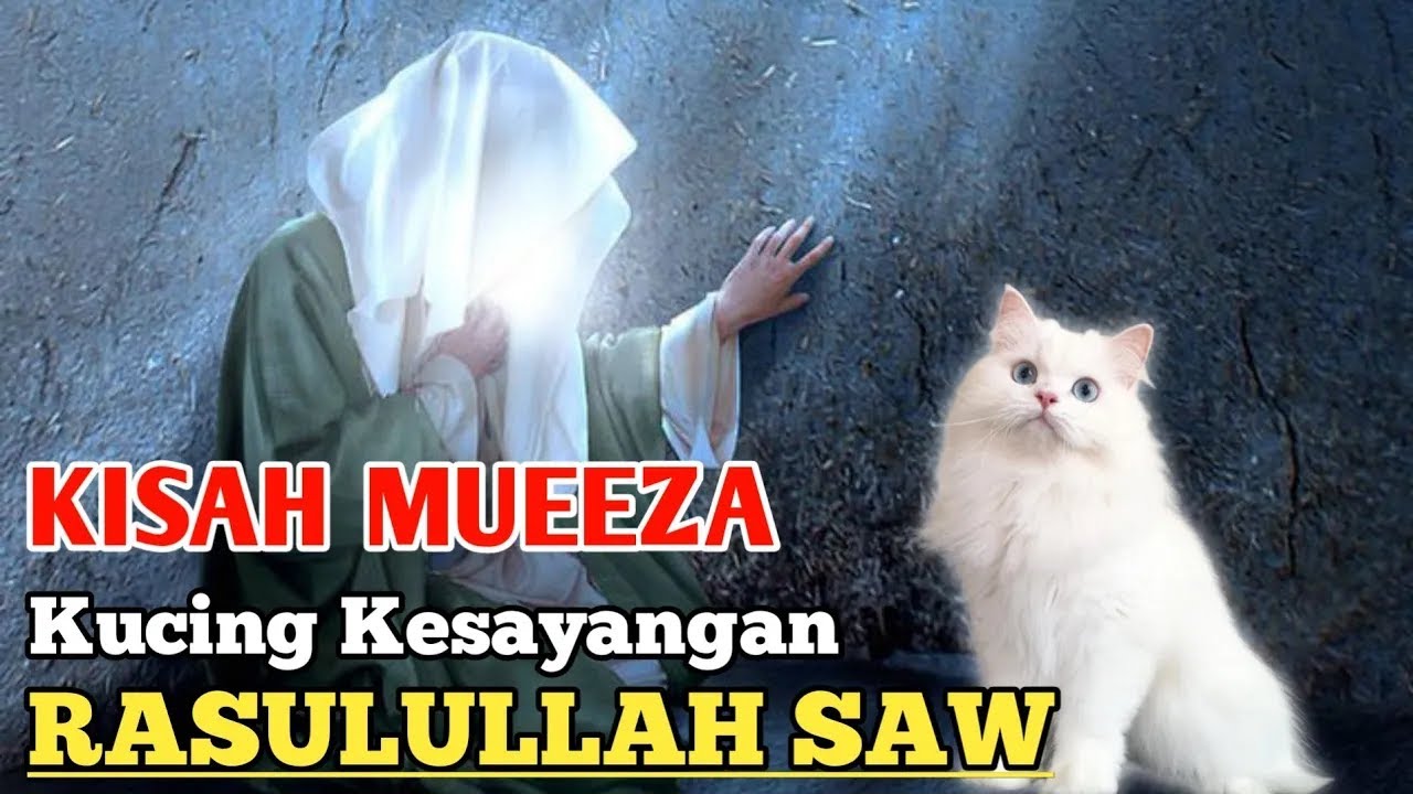 KISAH NABI MUHAMMAD SAW - Keistimewaan Mueeza Kucing Kesayangan ...
