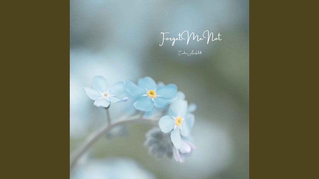 Forget Me Not - YouTube
