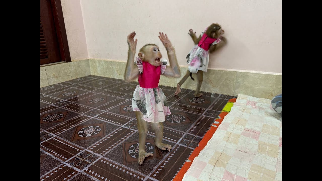 Sister Jula Raising Hand Up Very SHY To Welcome Cameraman Very Sweet ...