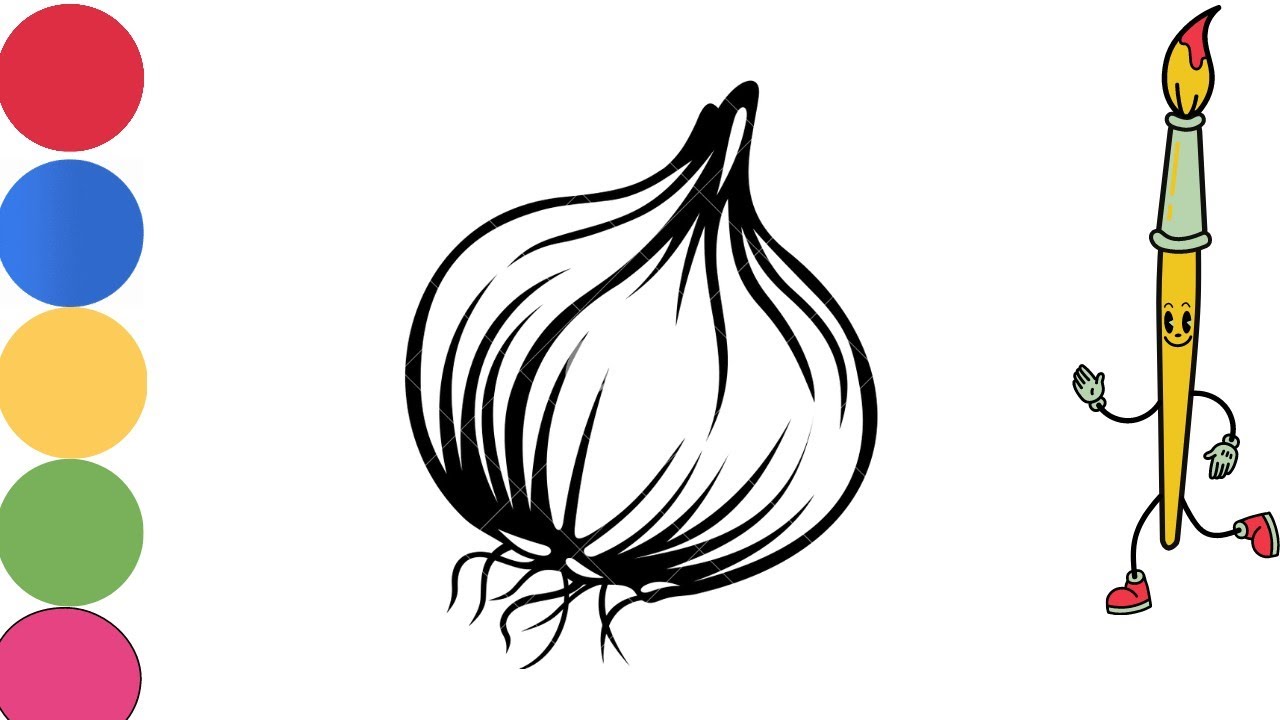 How to draw onion | How to color pyaz| easy drawing tutorial |Kids ...