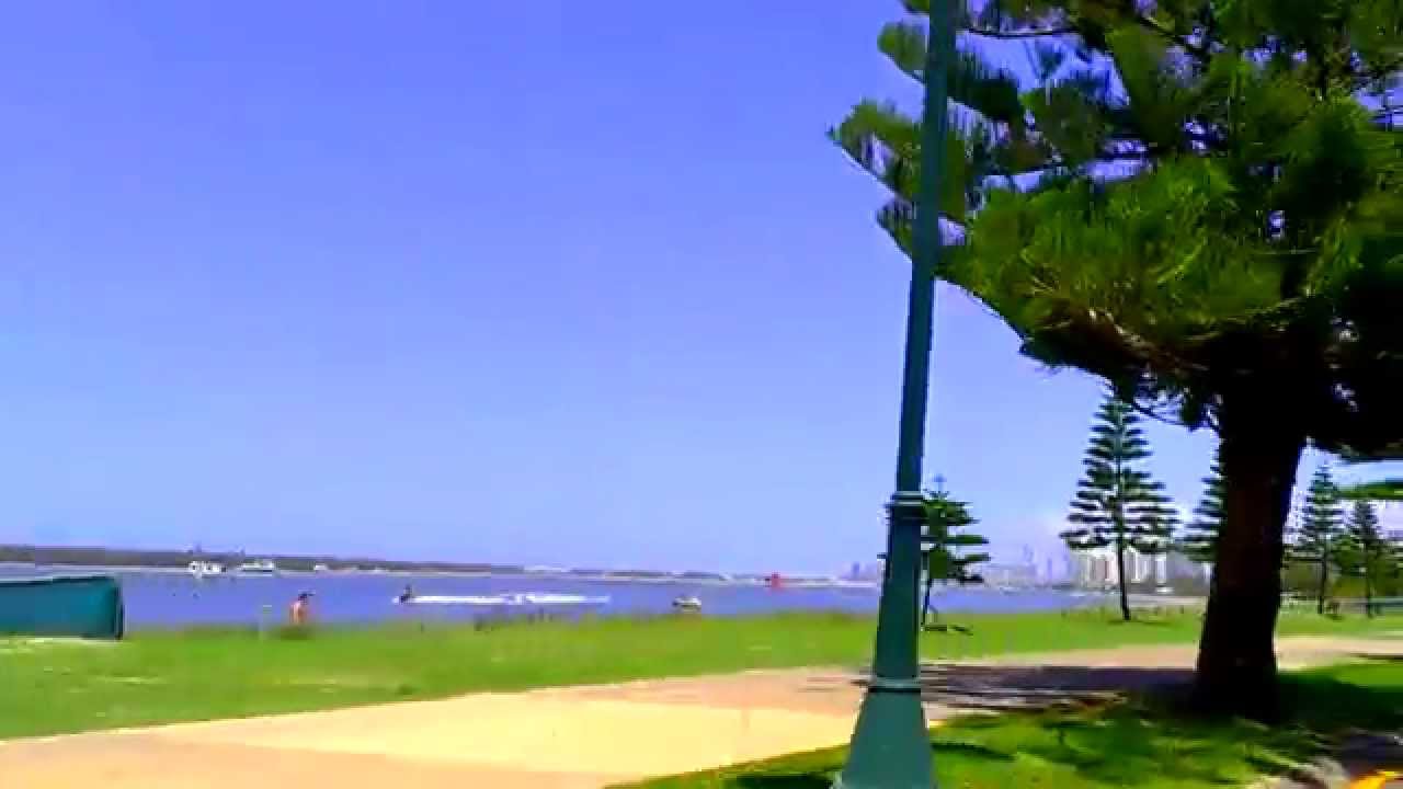 Gold Coast Australia | Labrador with view of Main Beach 2 - YouTube