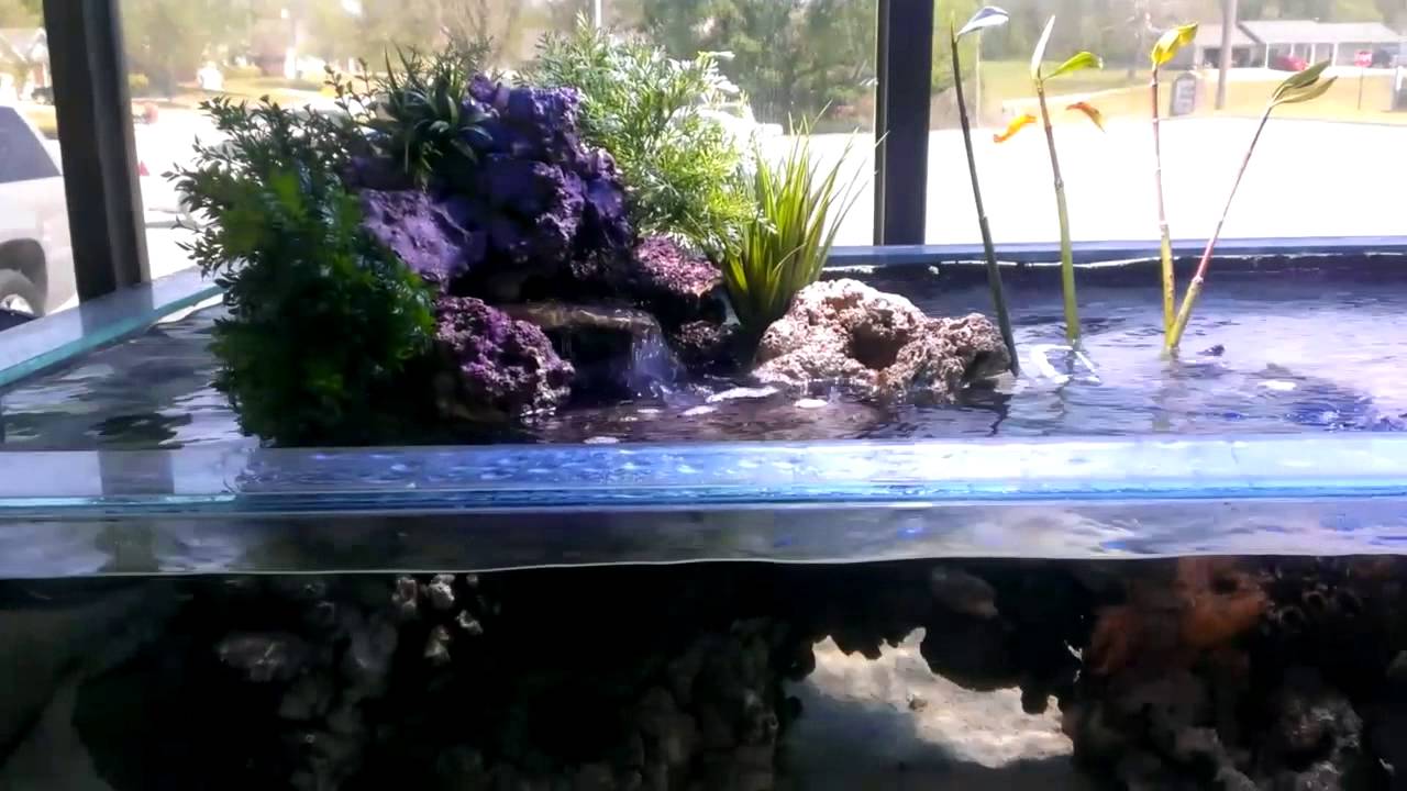 Predator Tank - YouTube