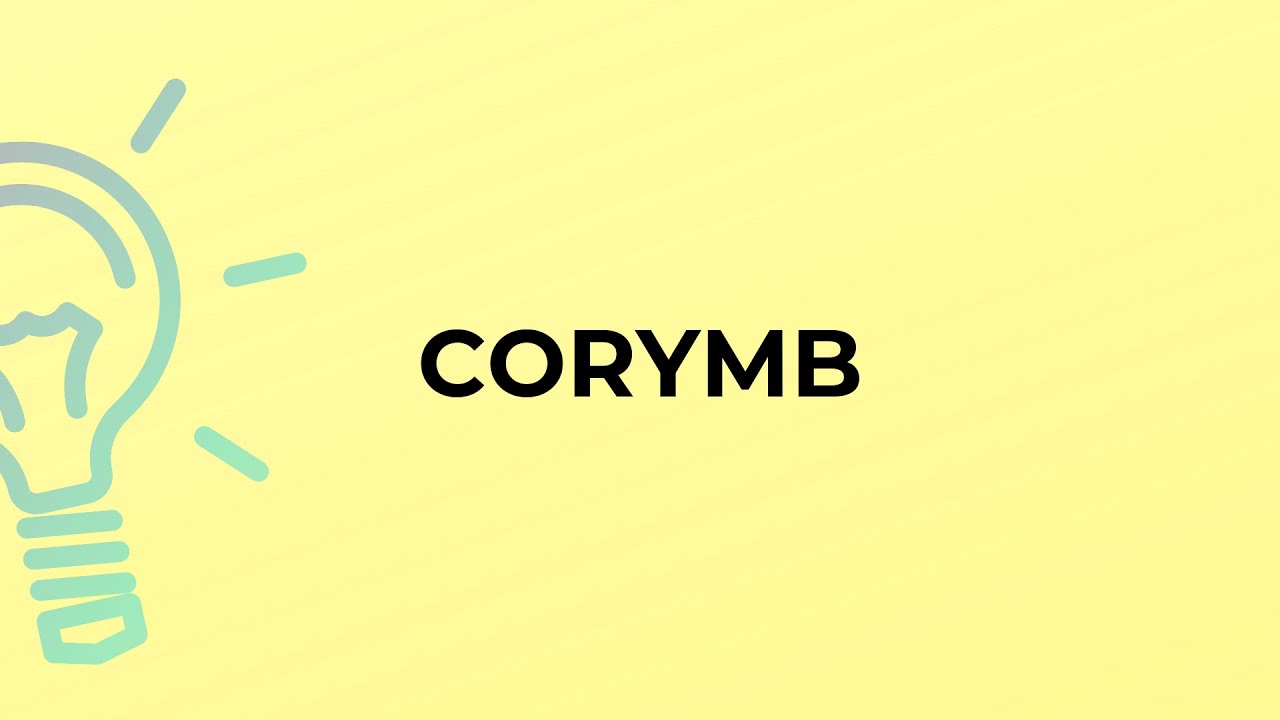 What is the meaning of the word CORYMB? - YouTube