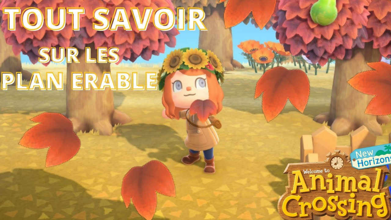 LES PLANS DE CONSTRUCTIONS AUTOMNE dans ANIMAL CROSSING NEW HORIZONS ...