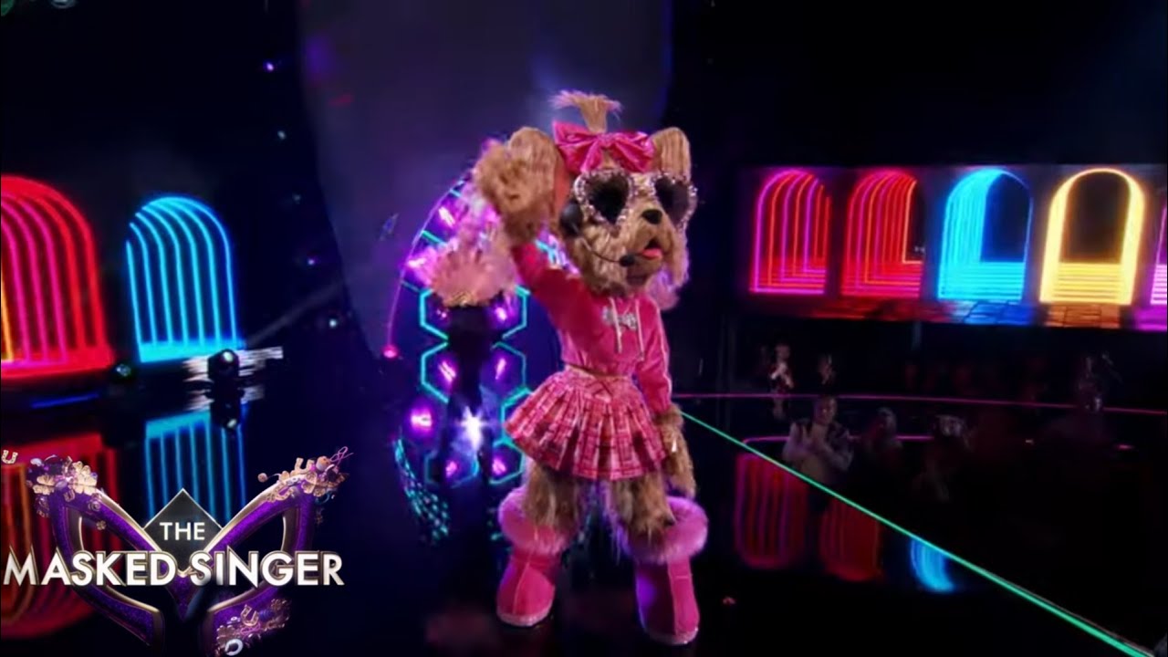 Sneak Performance of the Yorkie (Full Version) / The Masked Singer USA ...