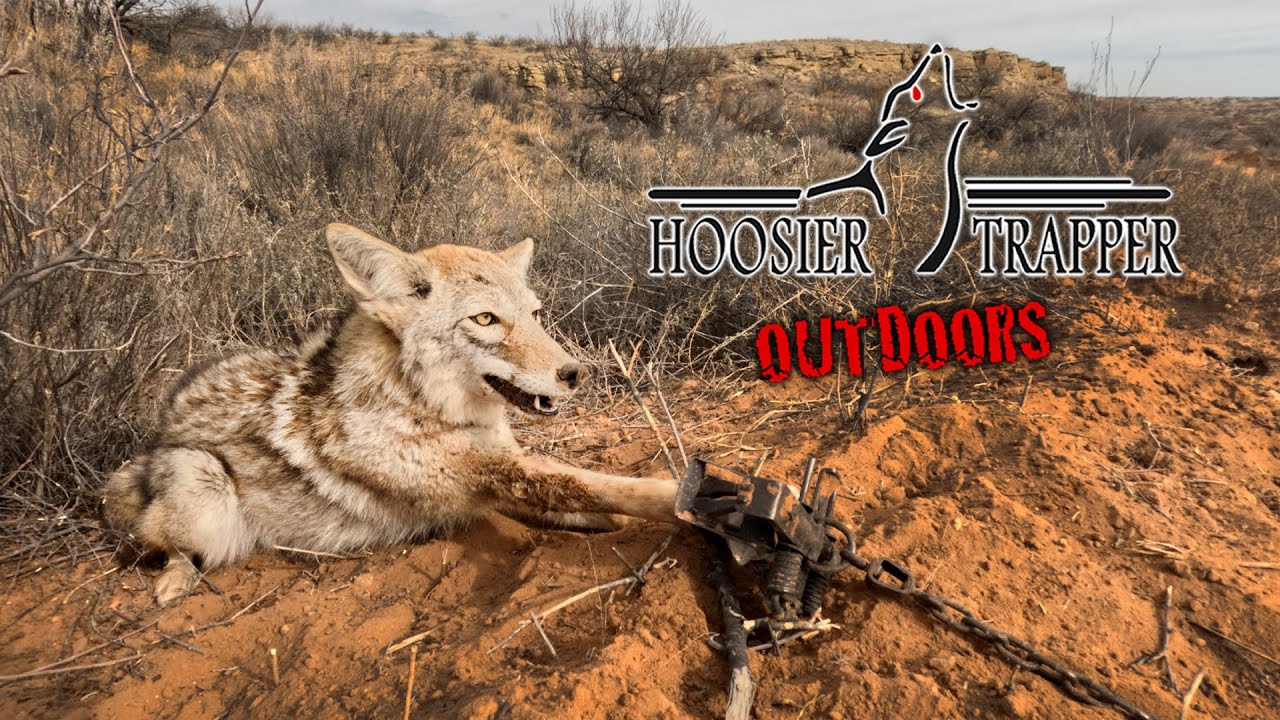 Hoosier Trapper Outdoors - S.14 Ep.10 - Predators - YouTube