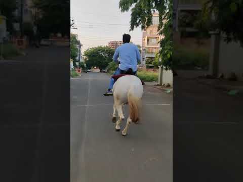 masha Allah sultan NOS like busa 😳