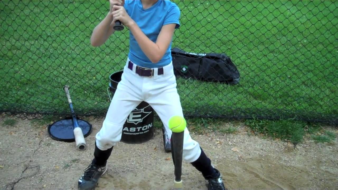 Insider Bat training video - YouTube