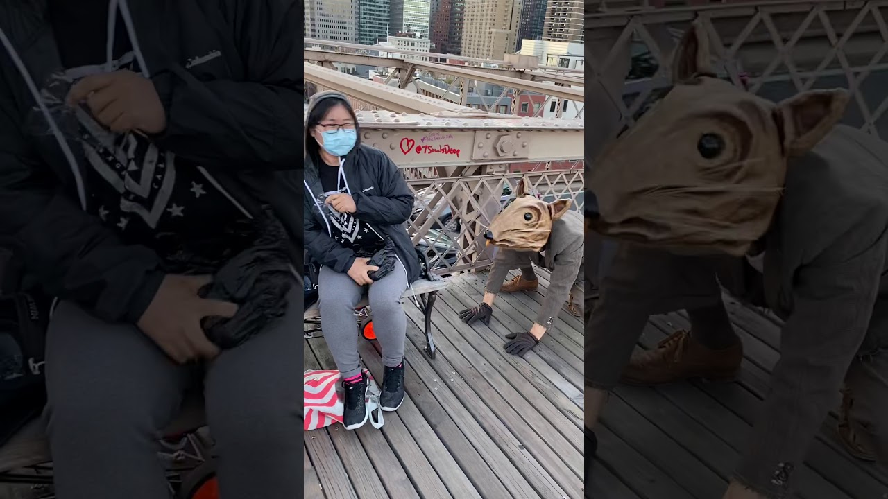 Bridge Rat - YouTube