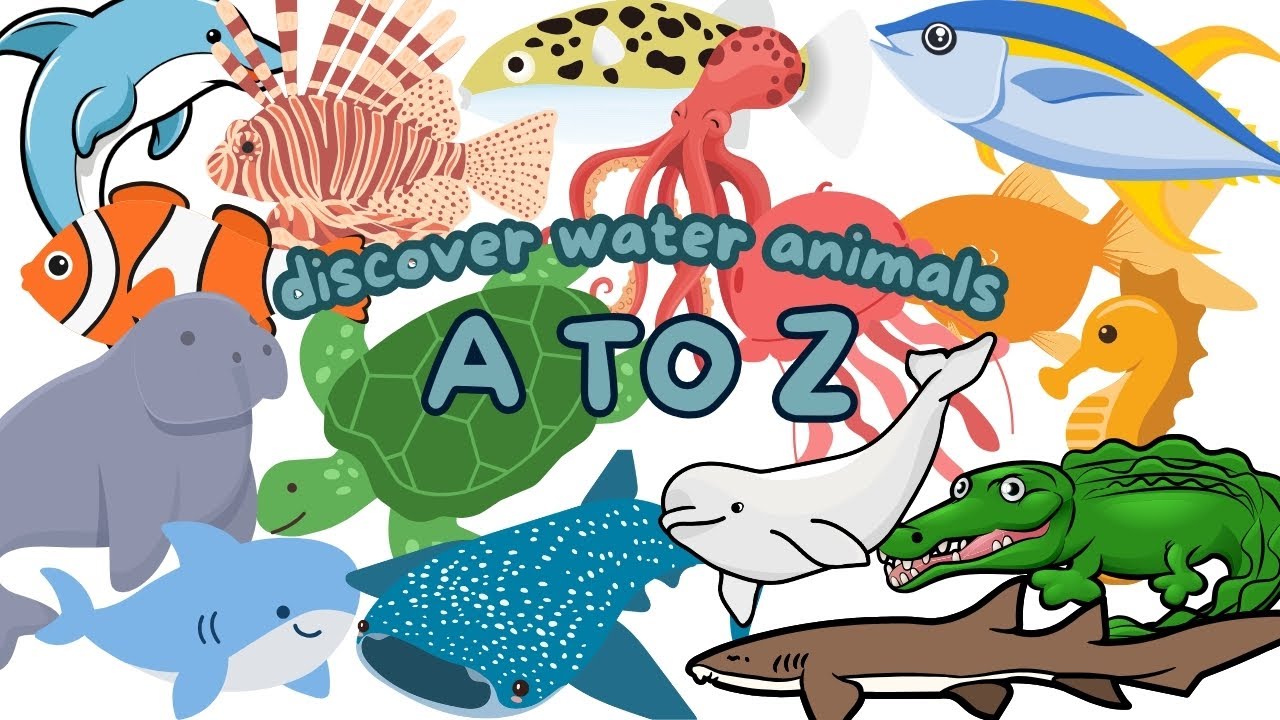 Sea Animals Abc - Discover Fun Sea Animals - Learning Pronunciation ...
