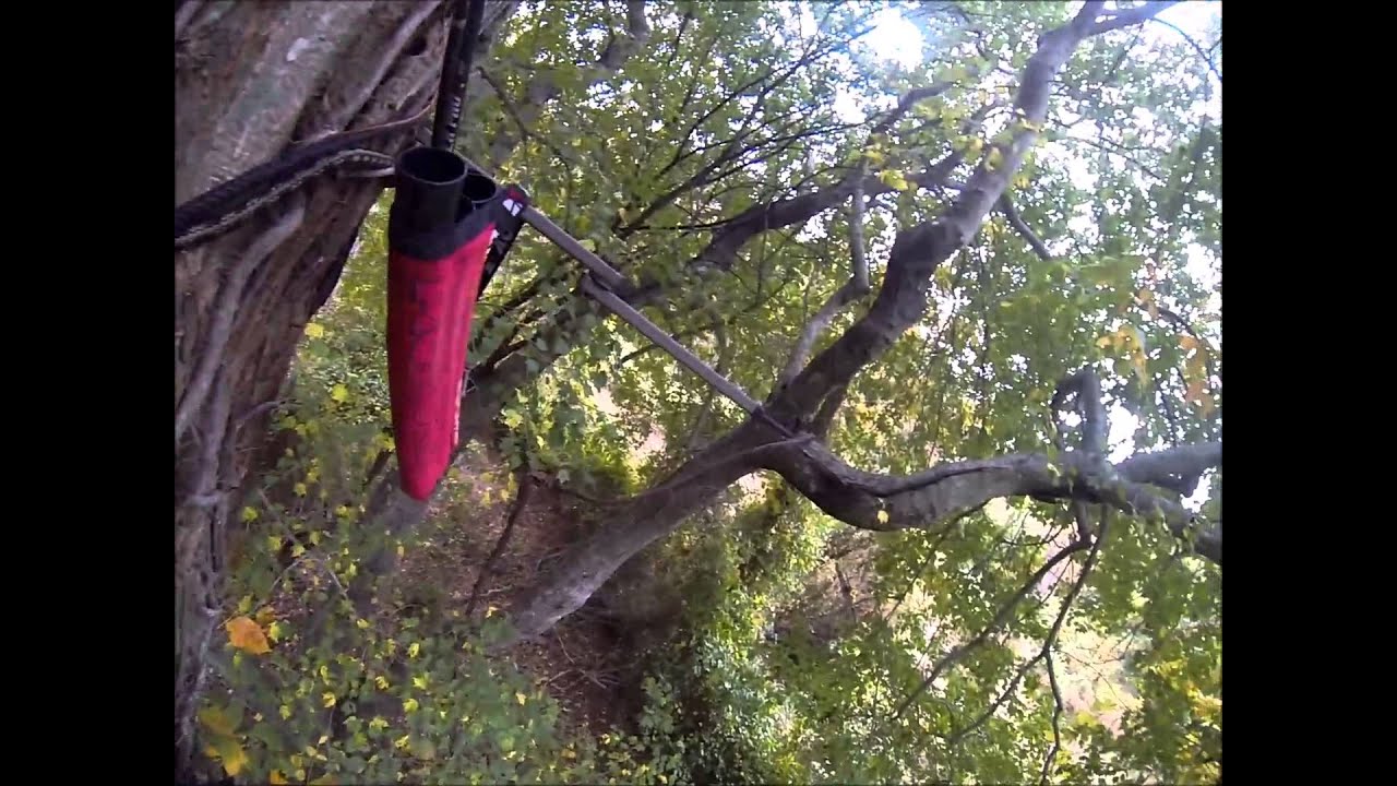 Calling: Fawn distress - YouTube