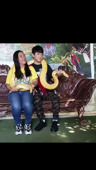 #python #snake #bohol #boholadventure - YouTube