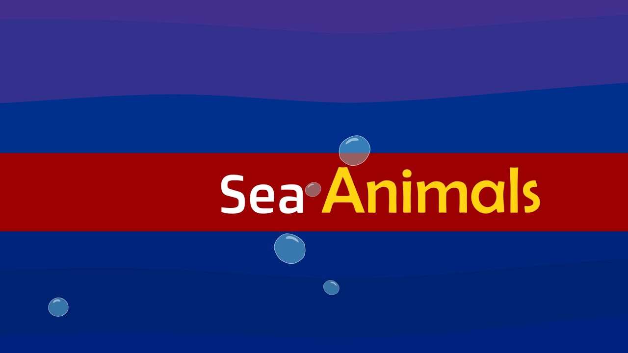 Sea Animals Intro | Kids Educational Videos | Sea Animals | The Enso ...