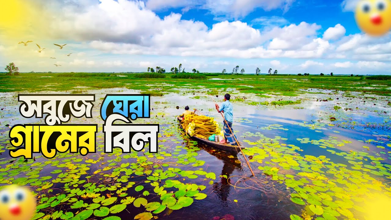 গ্রামের বিলে একদিন | A Day in Village Beel Travel | Nirmoy Ray Uzzal - YouTube