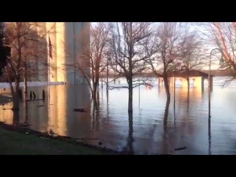 Mississippi River rising in Caruthersville ,Mo.2016 - YouTube