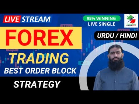 Forex Live Stream #20 | Best Order Block Strategy - Learn in urdu-Hindi! By TFM FX - YouTube