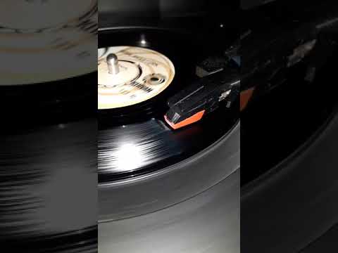 Bedia akarturk zuhtu plak