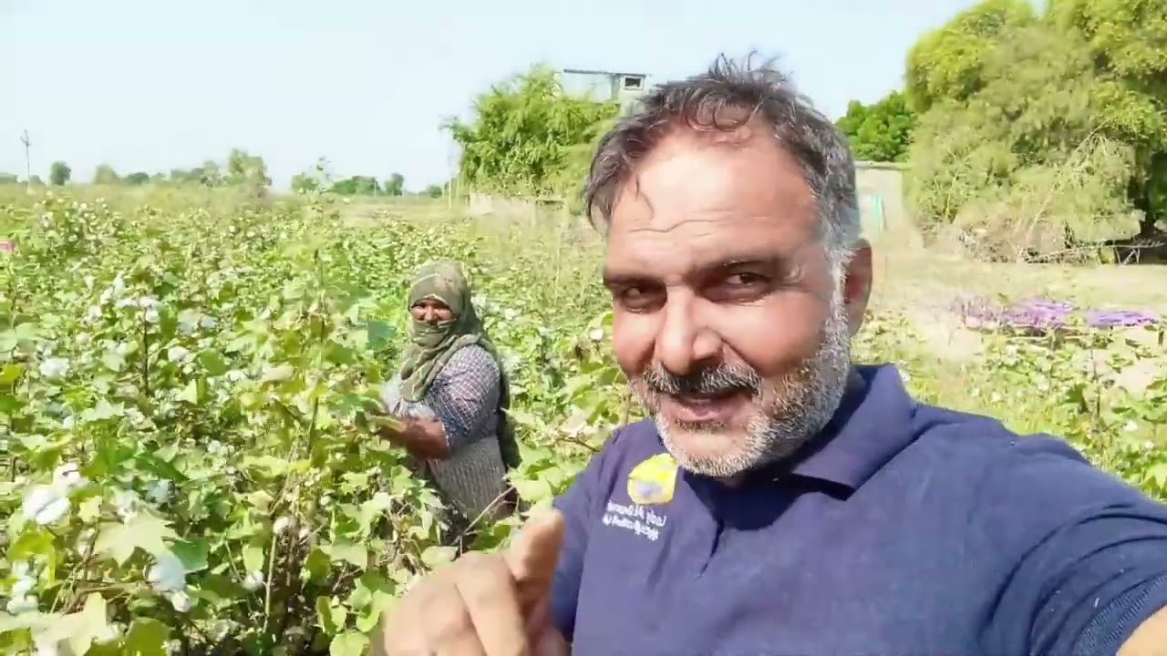 Vlog Narma 2 ।। Desi vlog village ।। Punjabi Kheti badi (family vlog ...