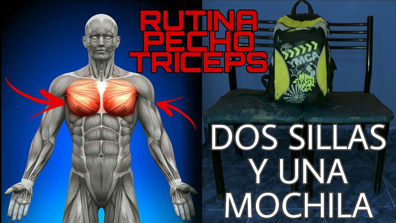 RUTINA de *PECHO y TRICEPS* en CASA - YouTube