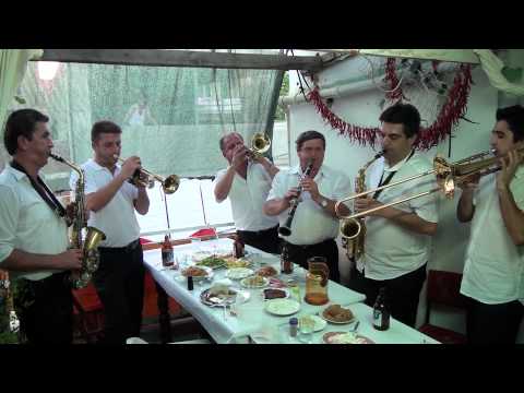 camdibi bandosu