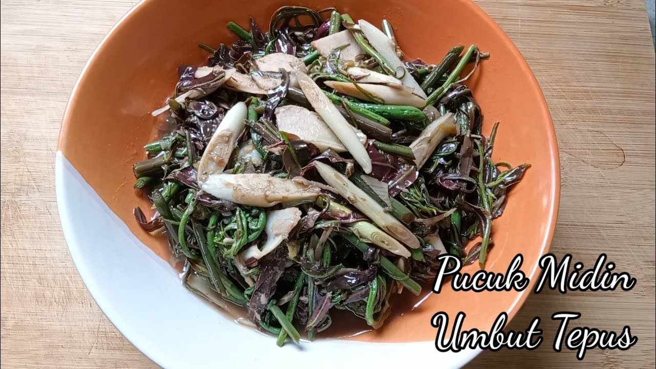 Pucuk Midin Umbut Tepus #PucukMidinUmbutTepus - YouTube